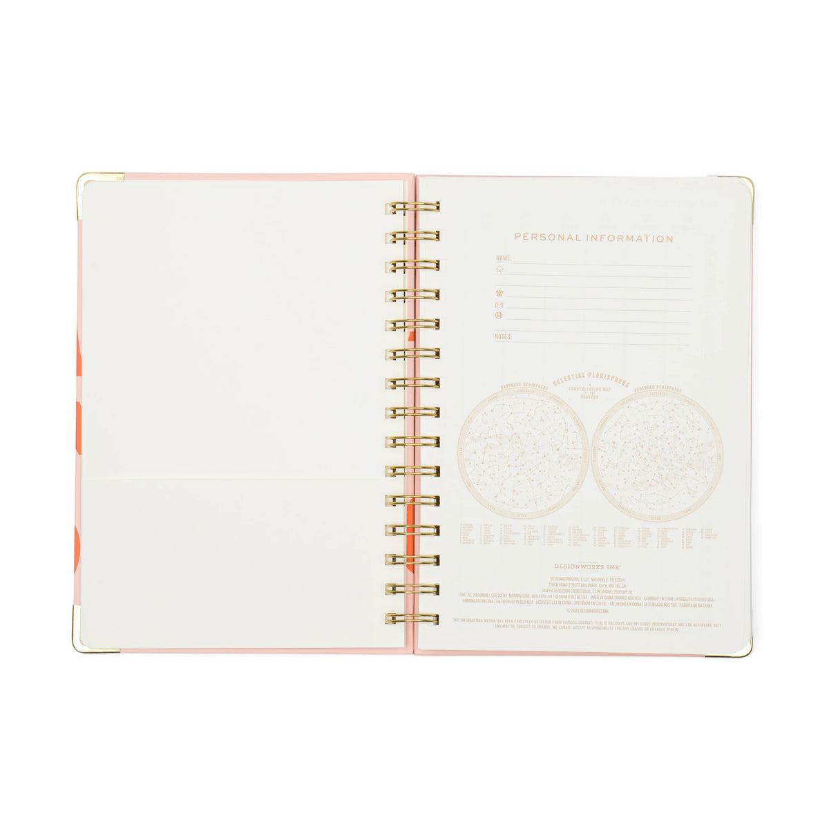 Designworks Ink 13 Mo Perpetual Planner - Geo Checks – Little Cactus Au